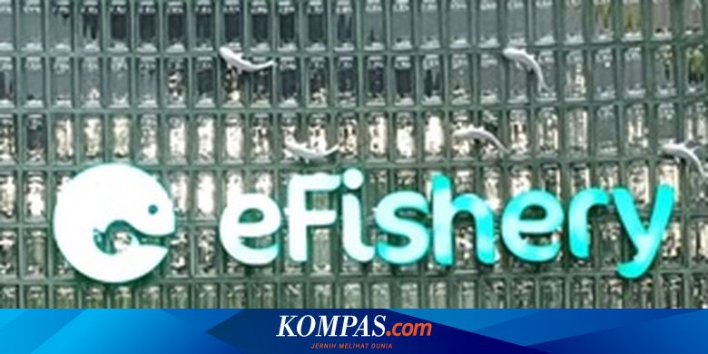 Adhy Wibisono Gantikan Gibran Huzaifah Jadi CEO eFishery, Begini ...
