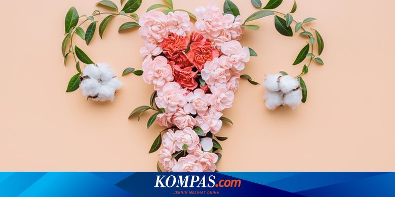 Bagaimana Ciri Vagina Sehat? Ini Penjelasan Dokter Boyke