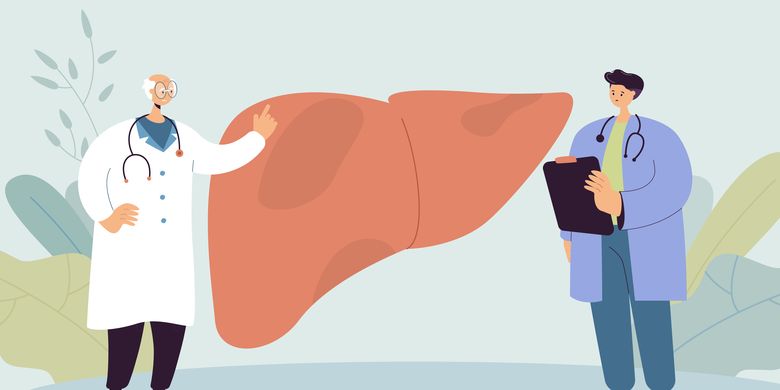 Dampak Tubuh Jika Organ Hati Tidak Bisa Menetralisir Toksin