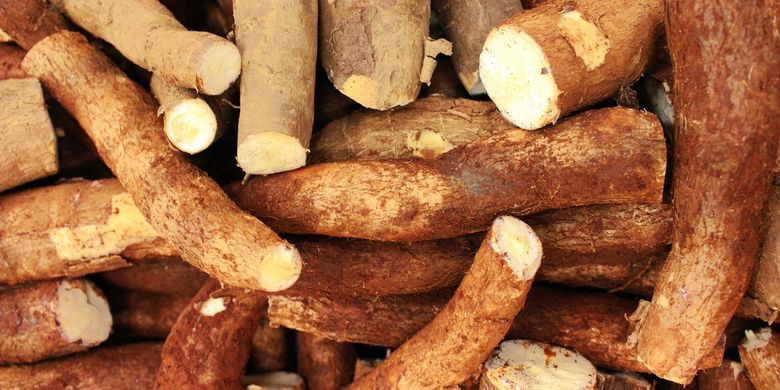 Berikut 5 Manfaat Ubi Kayu untuk Kesehatan - Kompas.com