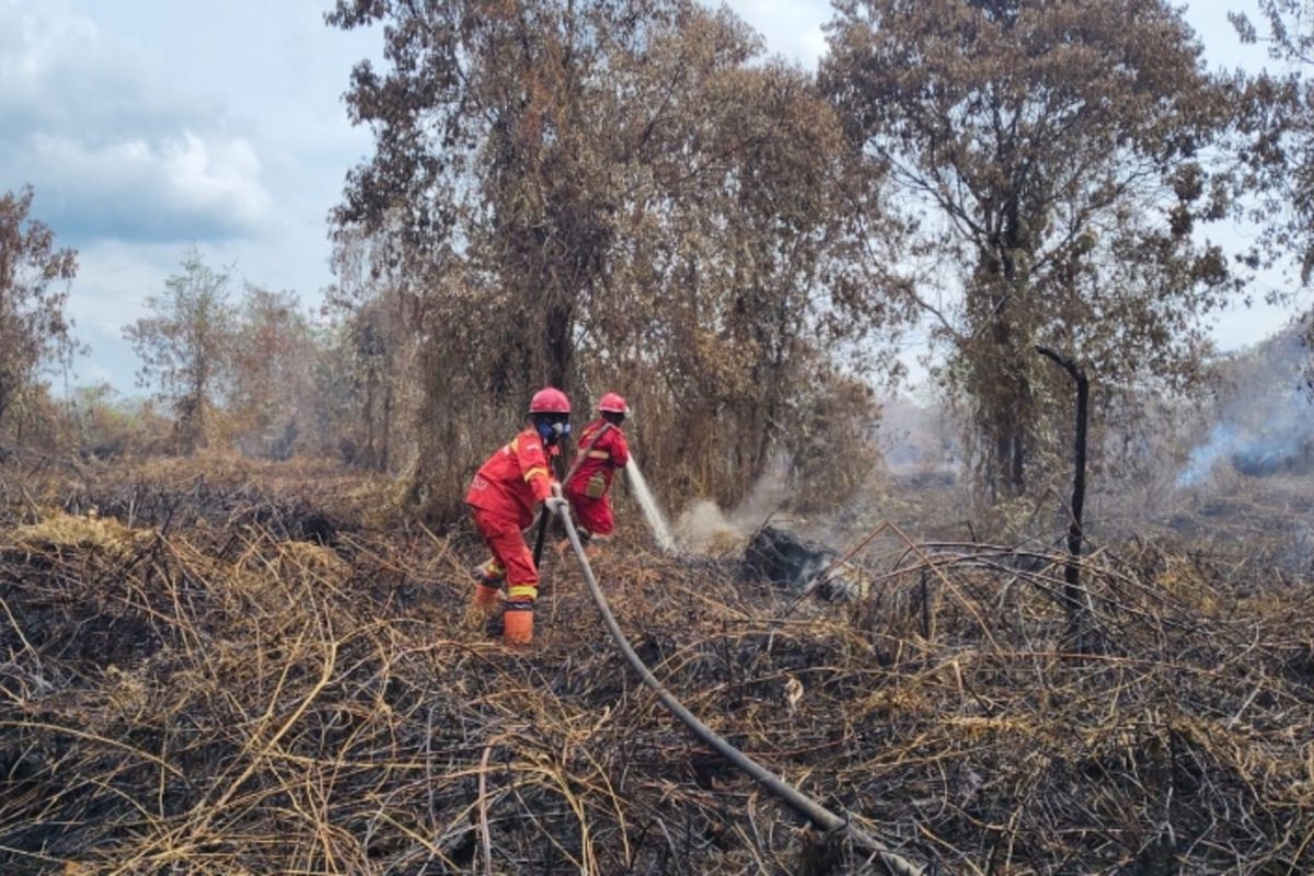Karhutla Meluas di 4 Provinsi Sumatera, Kemenhut Kerahkan Manggala Agni ...