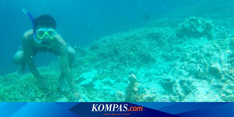 Sail Derawan 2015, Siapkah?