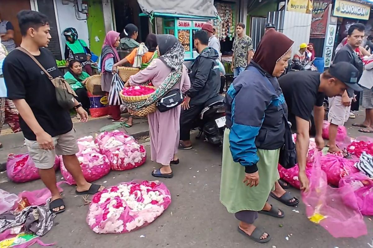 Petani Untung Besar, Harga Bunga Tabur Capai Rp 400.000 per Tenggok di ...