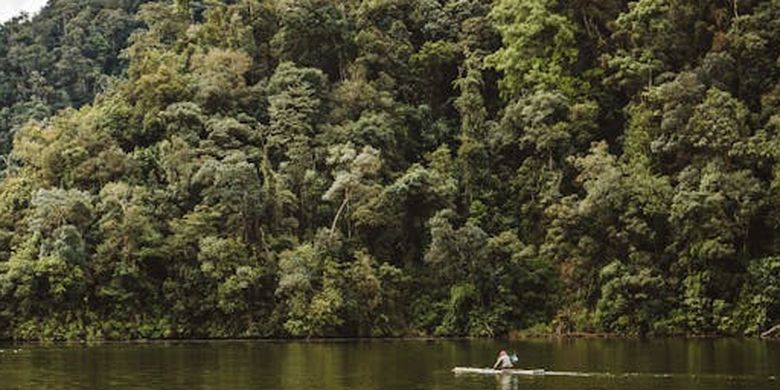 Masa Depan Pedesaan Lebih Terjamin Berkat Hutan dan Kearifan Lokal