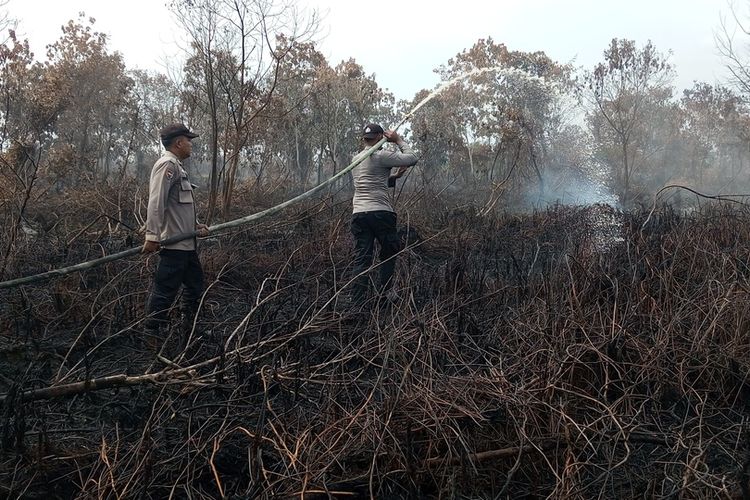 Berita Terkini Harian Mimi Lutmila Terbaru Hari Ini - Kompas.com