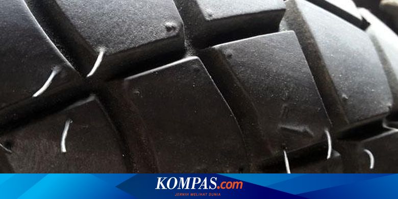 [POPULER OTOMOTIF] Banyak yang Belum Tahu, Ini Fungsi Rambut Tipis pada ...