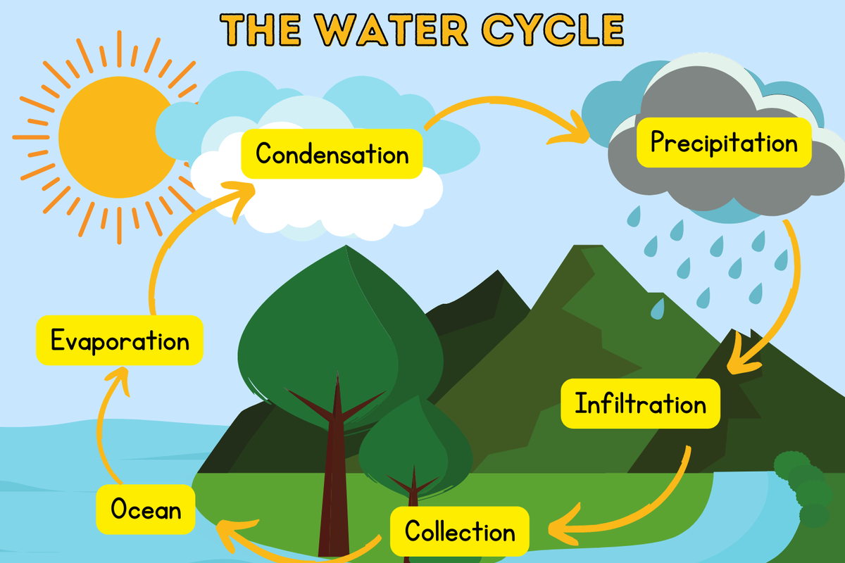 Pengertian Infiltrasi, Proses, Faktor dan Manfaatnya bagi Kehidupan
