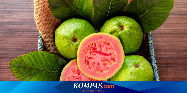 Benarkah Jus Jambu Biji Digunakan untuk Obat Demam Berdarah?