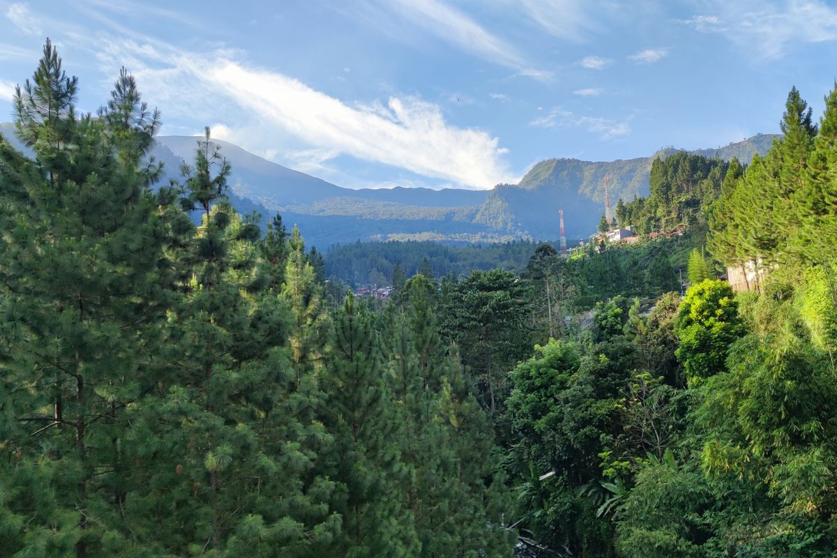 Hutan Lestari dan Riwayat Penyelamatan Hidup Manusia