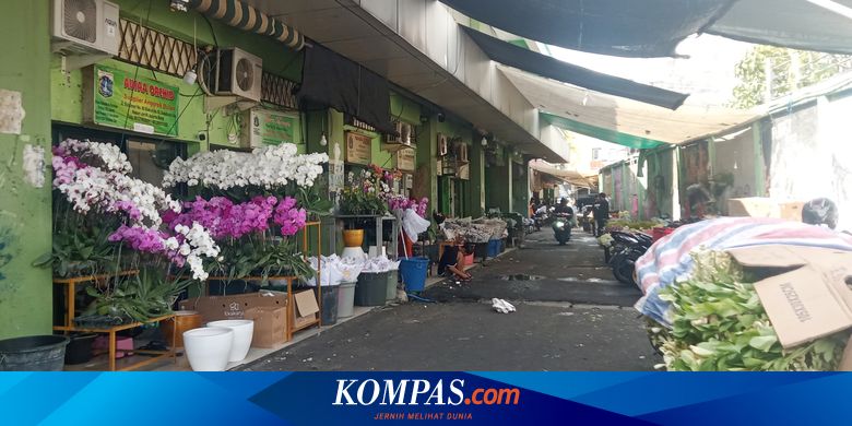 Rawa Belong, Pasar Bunga Terbesar di Asia Tenggara yang Berjuang Usai ...