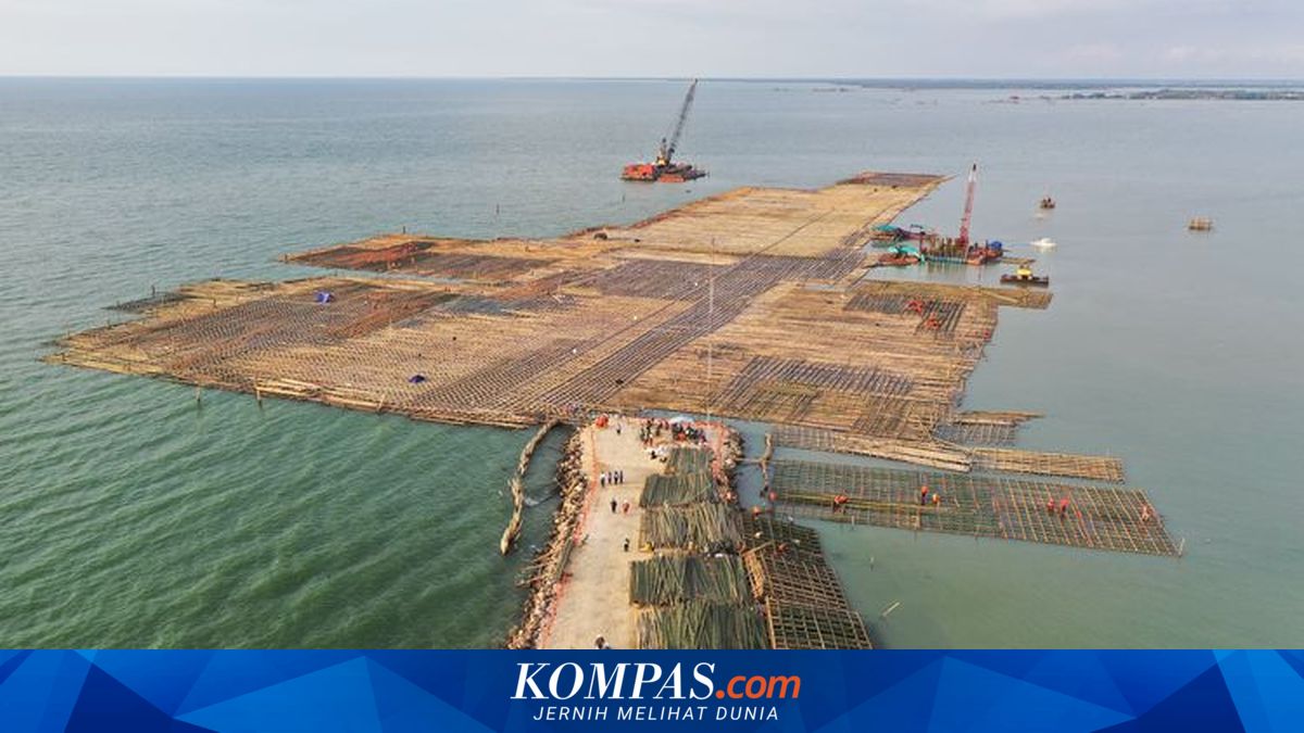 Keajaiban 10 Juta Batang Bambu yang Memperkuat Tol Semarang-Demak