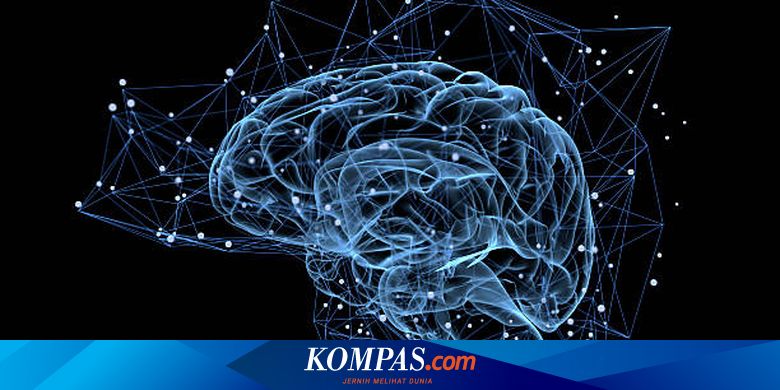 Apakah Benar Rata-rata IQ Orang Indonesia 78,49?