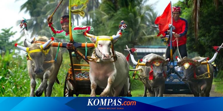 Tradisi Makepung di Jembrana, Bali, Sejarah, Makna, dan Tujuan