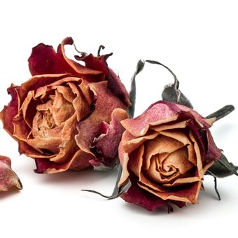 4 Cara Mengeringkan Bunga agar Tahan Lama