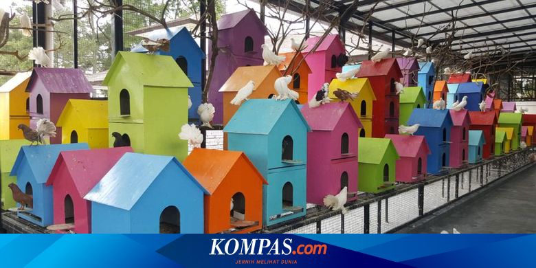 Rabbit Town di Bandung, Harga Tiket, Jam Buka, Syarat, dan Rute