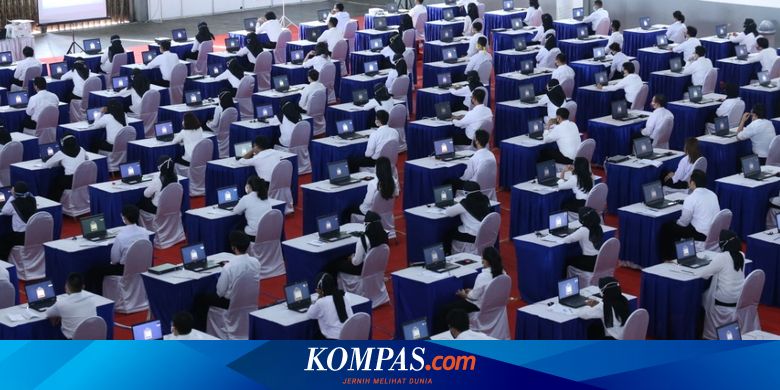 Arti Kode Pengumuman CPNS 2024, dari P/L, P/TL, P/L-1, P/L-2, P/TH, dan APS