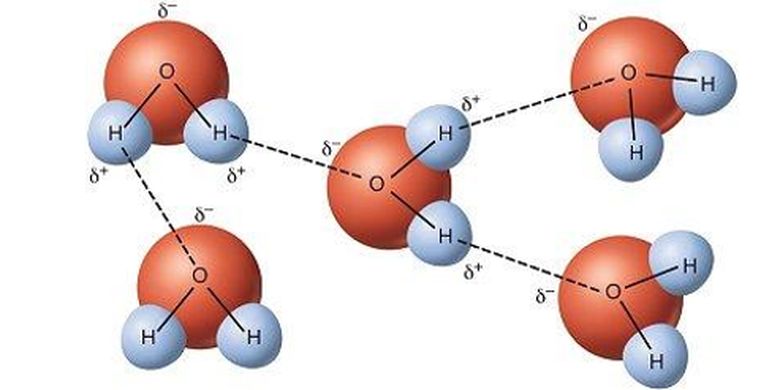 Ikatan Kovalen Koordinasi: Pengertian dan Contohnya