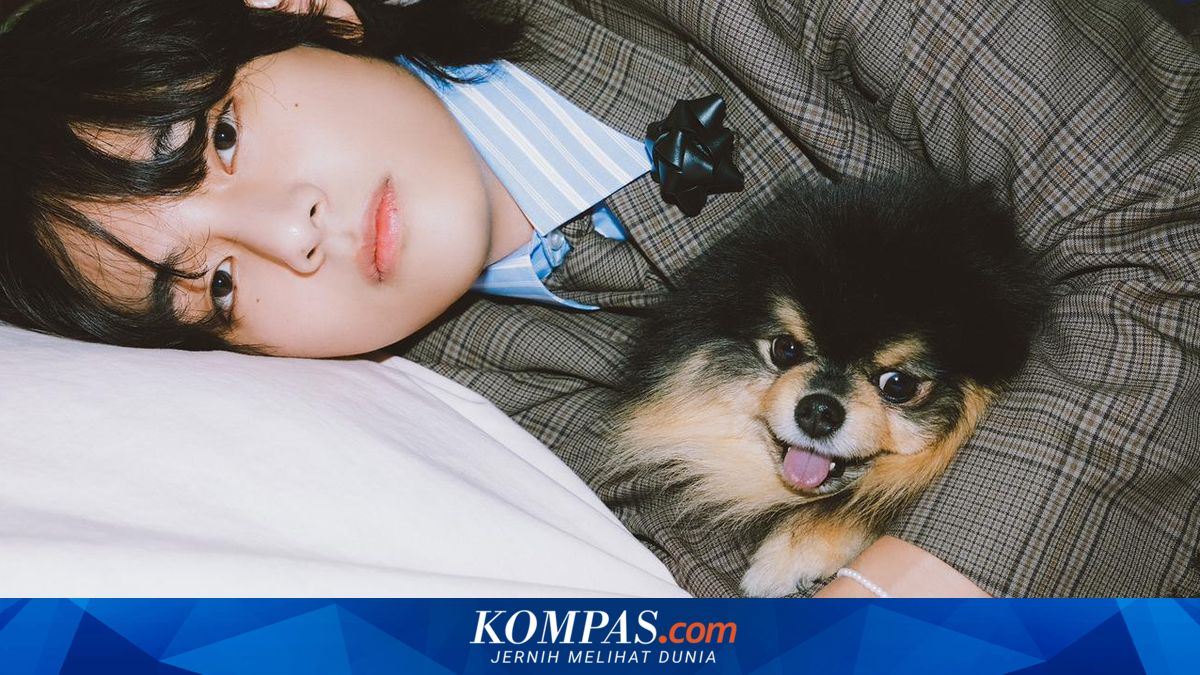 V BTS Segera Rilis Debut Album, Berikut Deretan Karyanya yang Populer