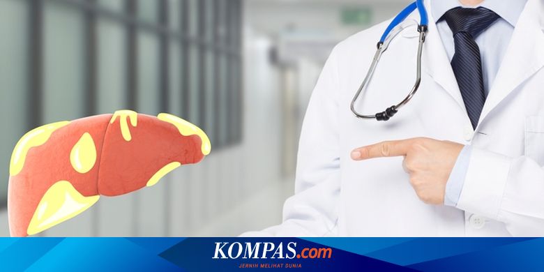 Punya Efek Berbahaya, Bagaimana Cara Atasi Penyakit Hati Berlemak?