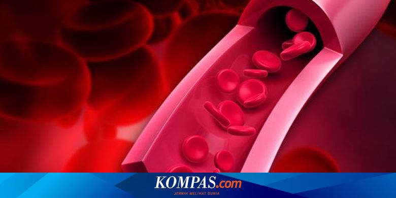 Memahami Gejala Hemoglobin Rendah dan Cara Mengatasinya