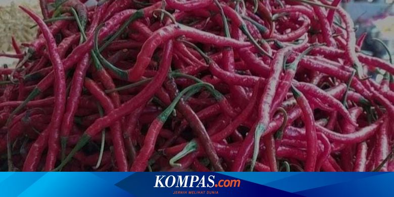 Harga Cabai di Kota Semarang Naik Rp 40.000 Per Kilogram, Pedagang ...