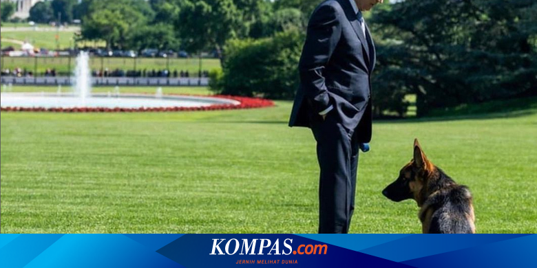 [POPULER GLOBAL] Seruan Biden ke Israel | David Cameron Ditunjuk Jadi ...