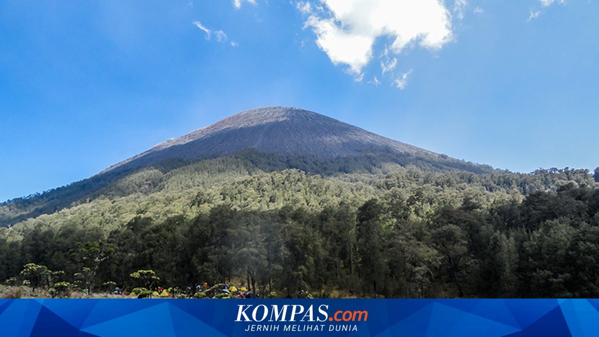 Kebakaran di Arcopodo, Pendaki Dibatasi Hanya Sampai Ranu Kumbolo