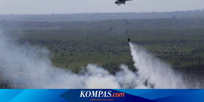 Kebakaran Hutan dan Lahan Riau, 6 Helikopter Water Bombing Dikerahkan