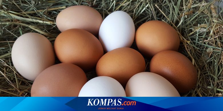 Simak, Ini Tips Memilih Telur yang Baik dan Cara Menyimpannya
