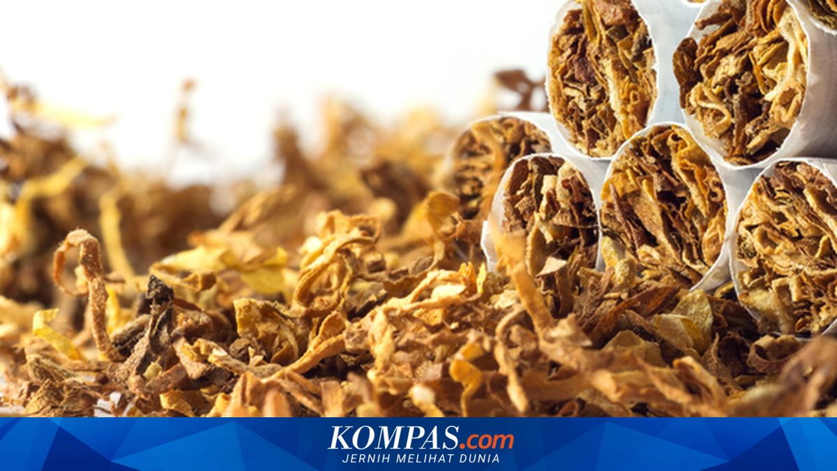 Tekan Perokok Anak, Cukai Rokok Harus Dinaikkan?