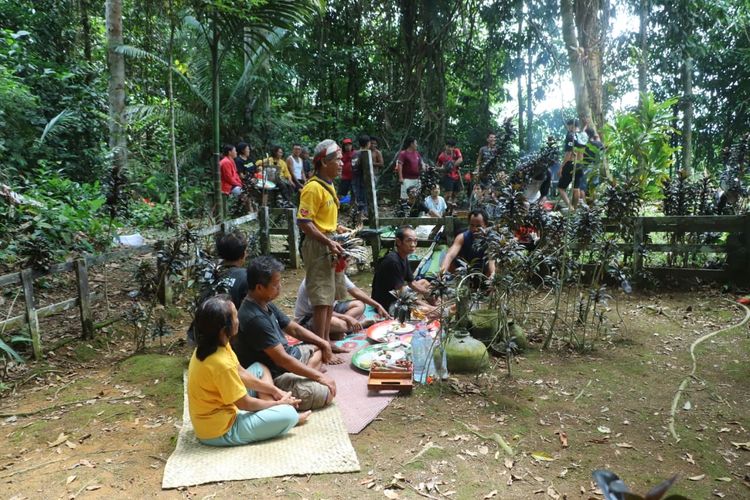Berita Terkini Harian Dayak Kanayatn Terbaru Hari Ini - Kompas.com