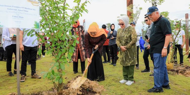 Jatim Tanam Pohon Majapahit di IKN, Simbol Sinergi Rp 1 Triliun