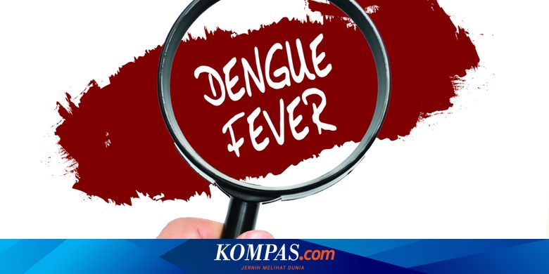 4 Ciri-ciri Bintik Merah Demam Berdarah (DBD)