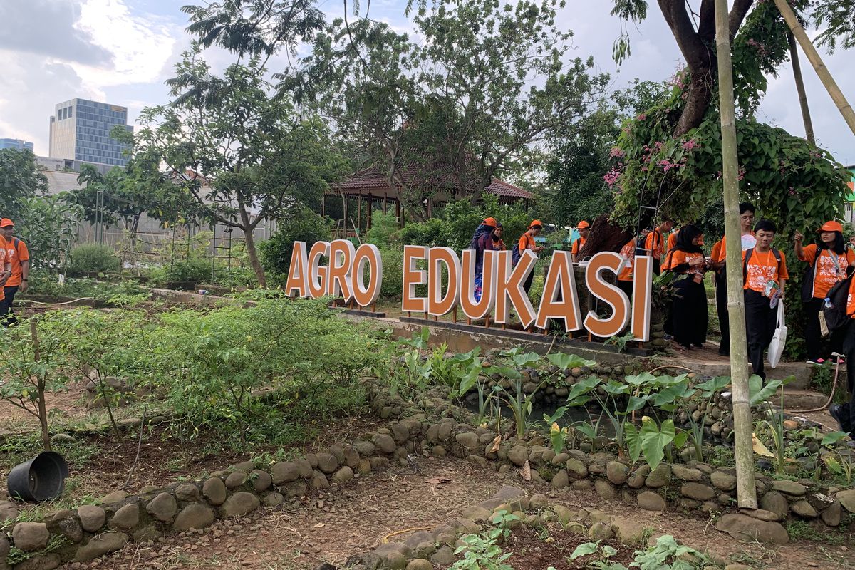 Belajar Bertani di Agro Edukasi Wisata Ragunan Jaksel, Ini Lokasi dan ...