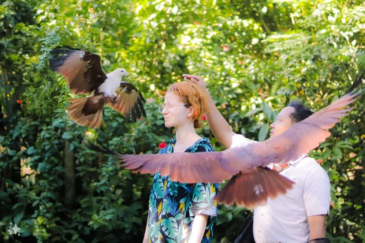 Bali Bird Park, Petualangan Seru Bersama 1300 Burung