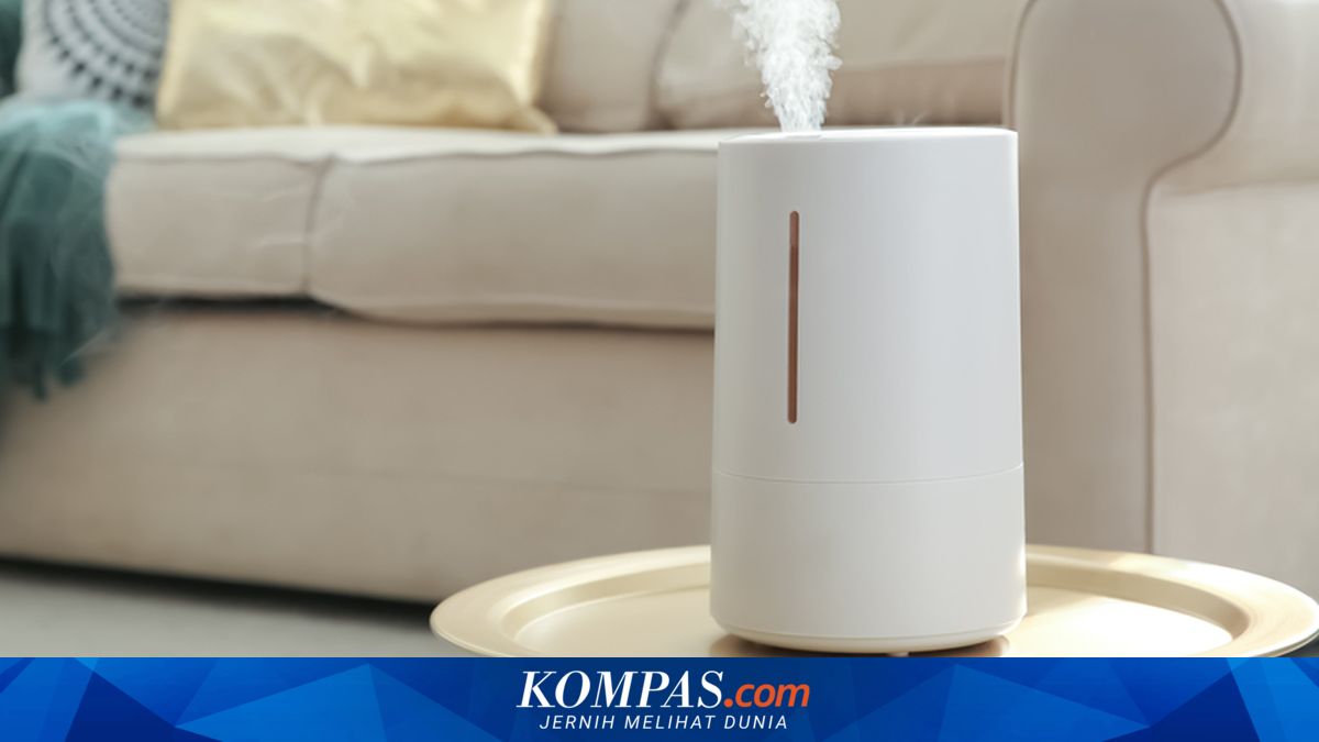 Jangan Asal, Ini Aturan Meletakkan Humidifier di Dalam Ruangan