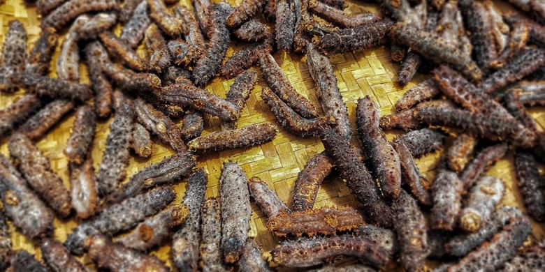 Cara Masak Teripang, Makanan Mewah yang Mudah Hancur Halaman all ...