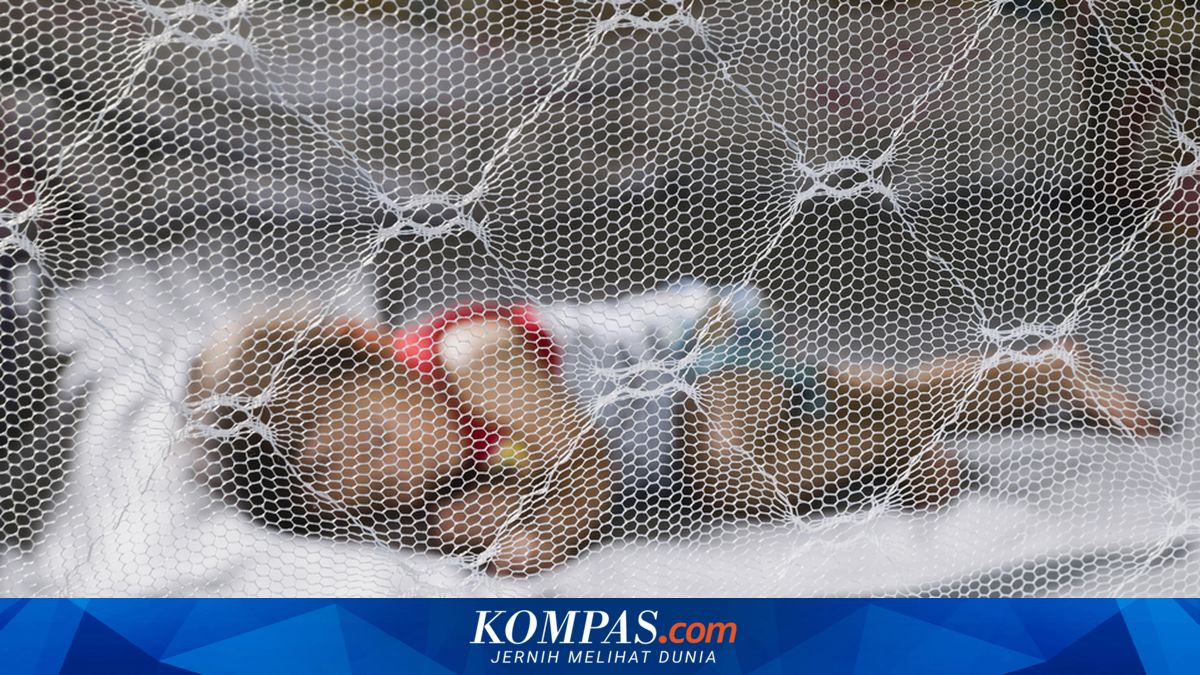 Kasus Demam Berdarah Masih Tinggi di Indonesia, Dokter Ingatkan ...