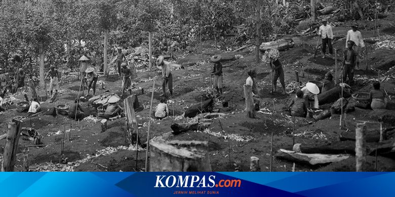 Kondisi Bangsa Indonesia di Masa Penjajahan Belanda