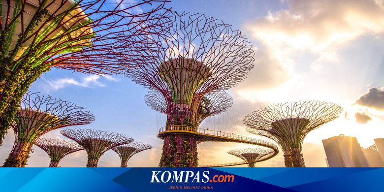 Ada Karpet Bunga Raksasa di Singapura, Terinspirasi dari Batik