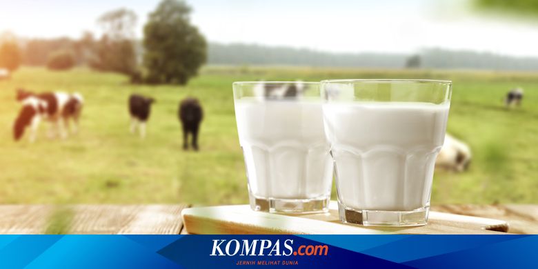 Ini 7 Manfaat Minum Susu Sapi