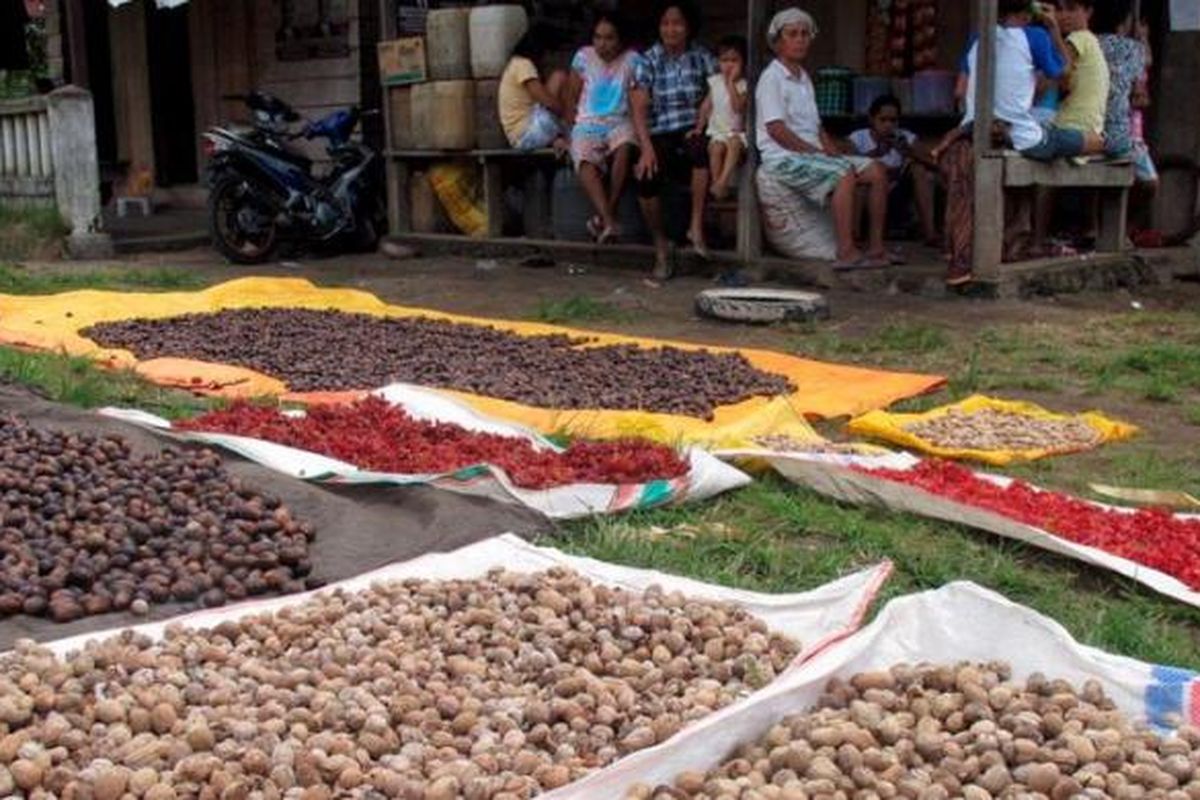 Rempah-Rempah, Alasan Bangsa Eropa Datang ke Indonesia