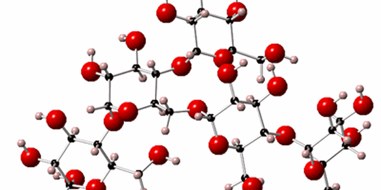 Makromolekul: Pengertian dan Contohnya