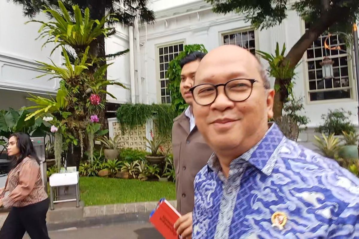 Bos Danantara Sebut PT DSI Akan Resmi Jadi BUMN Pekan Depan