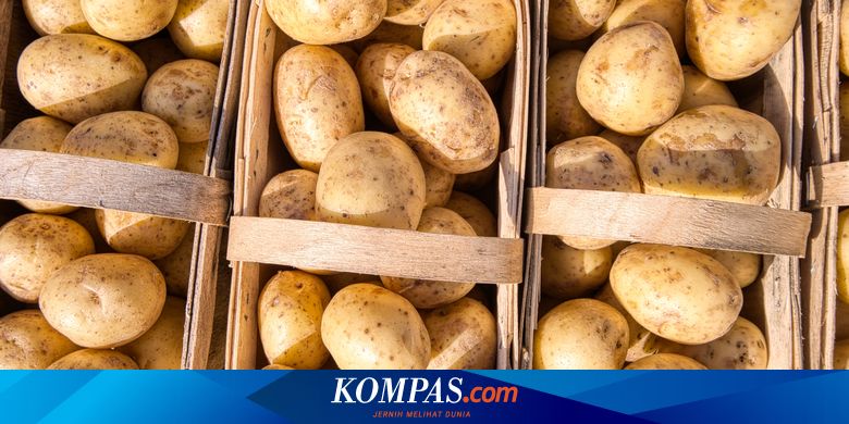 Cara Tepat Menyimpan Kentang agar Tetap Segar dalam Sebulan