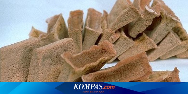 Mengapa Sagu Menjadi Makanan Pokok di Indonesia Timur?