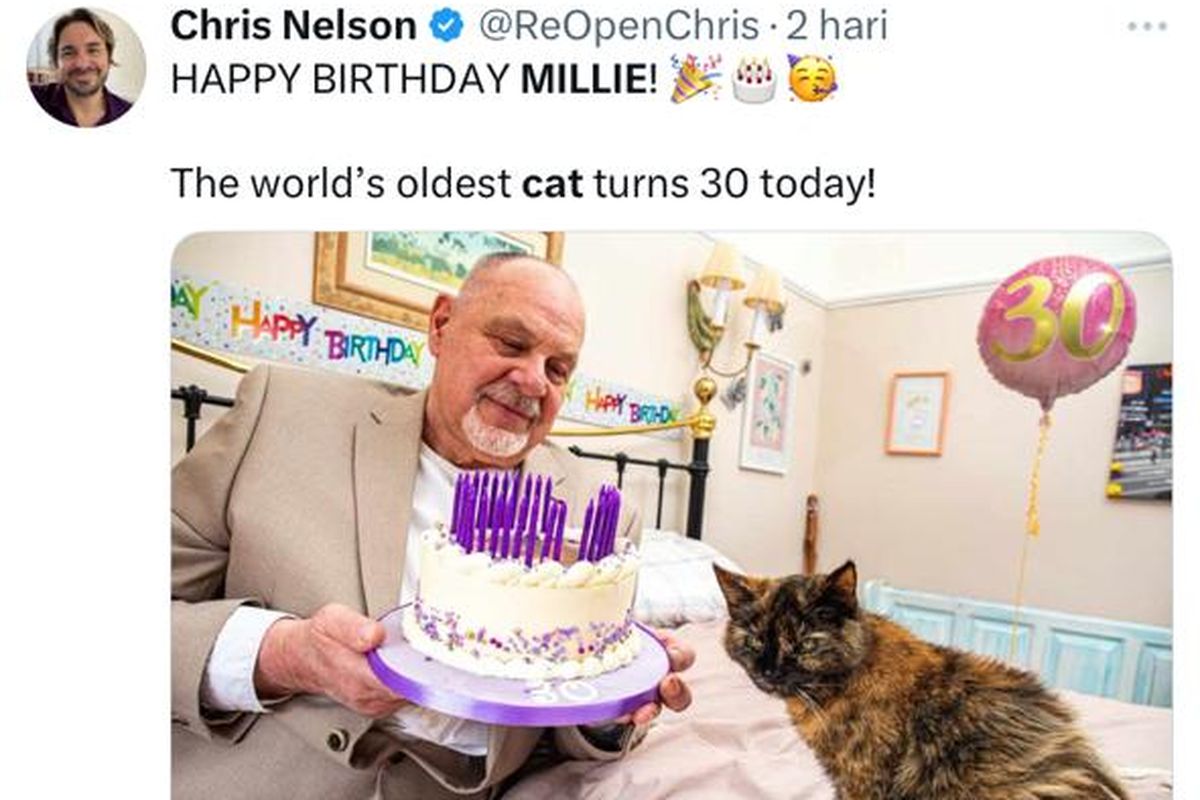 Kucing Tertua di Dunia yang Berusia 30 Tahun Hanya Minum Air Kemasan