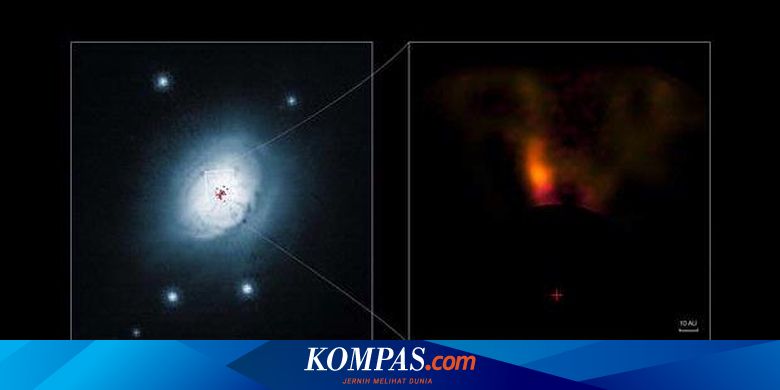 Ini Dia Foto Pertama Kelahiran Bayi Planet Alien