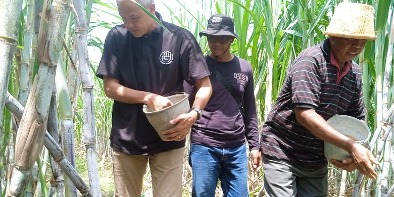 Berita Terkini Harian Ganjar Setuju Soal Estafet Kepemimpinan Terbaru ... Berita Terkini Harian Ganjar Setuju Soal Estafet Kepemimpinan Terbaru ...