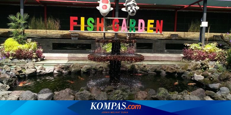 Berita Terkini Harian Daya Tarik Fish Garden Terbaru Hari Ini - Kompas.com